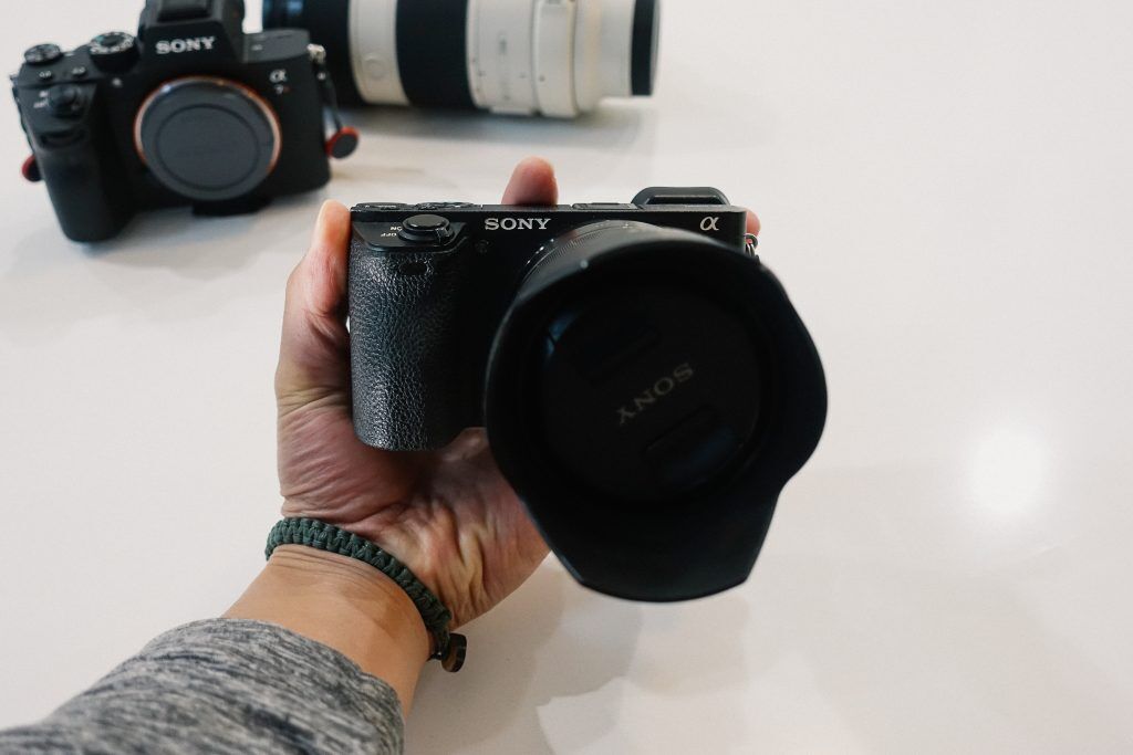 Sony Shutter Count Guide: All You Need to Know for your Sony Camera!