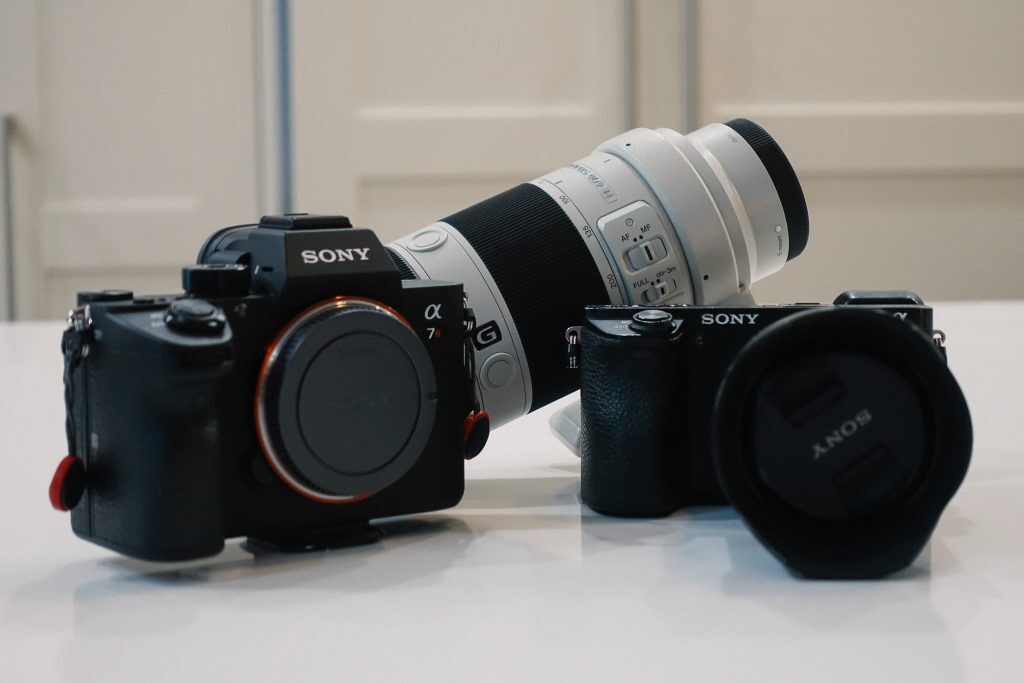Sony Shutter Count Guide: All You Need to Know for your Sony Camera!