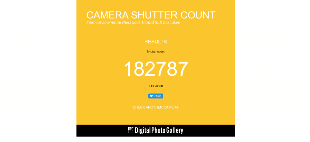 Sony Shutter Count Guide: All You Need to Know for your Sony Camera!