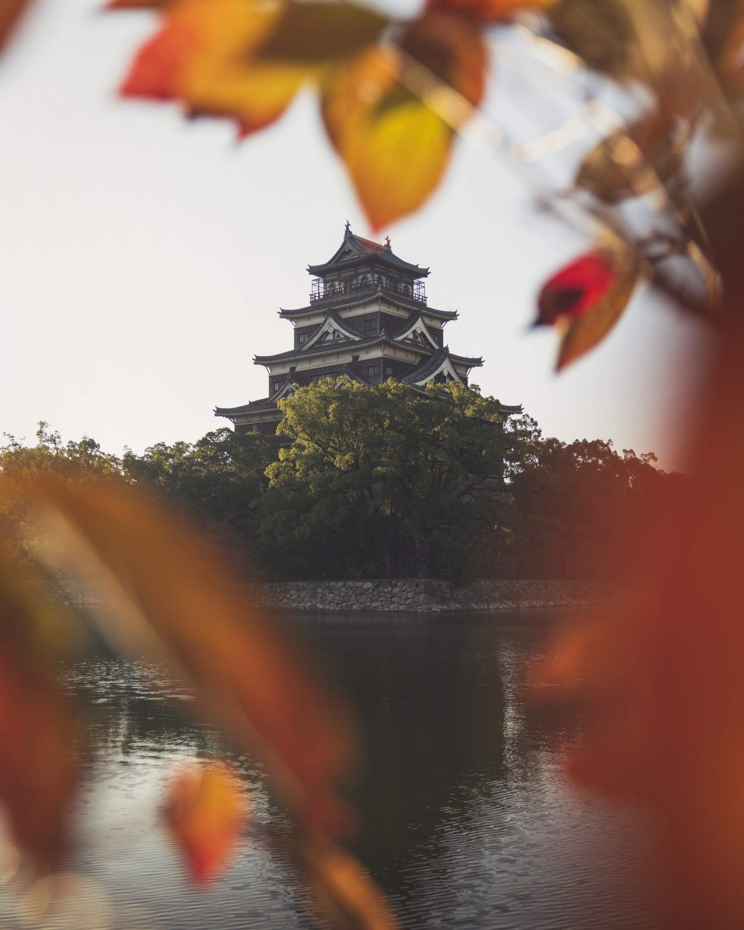 How to Use Selective Focus to Create Powerful Imagery (with Examples)