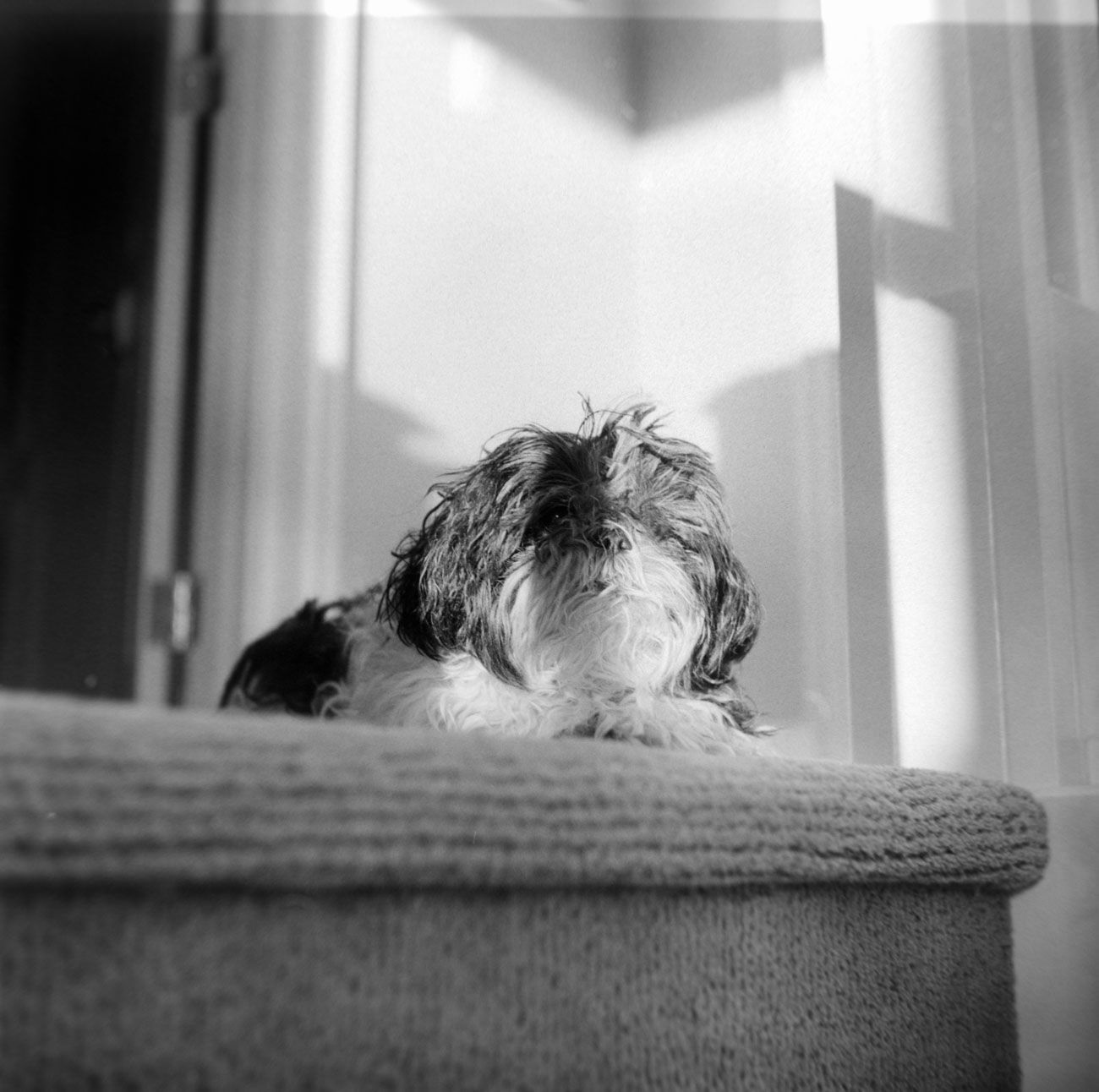 Ilford HP5 Plus 400 Review - Why It's My Favorite B&W Film Stock