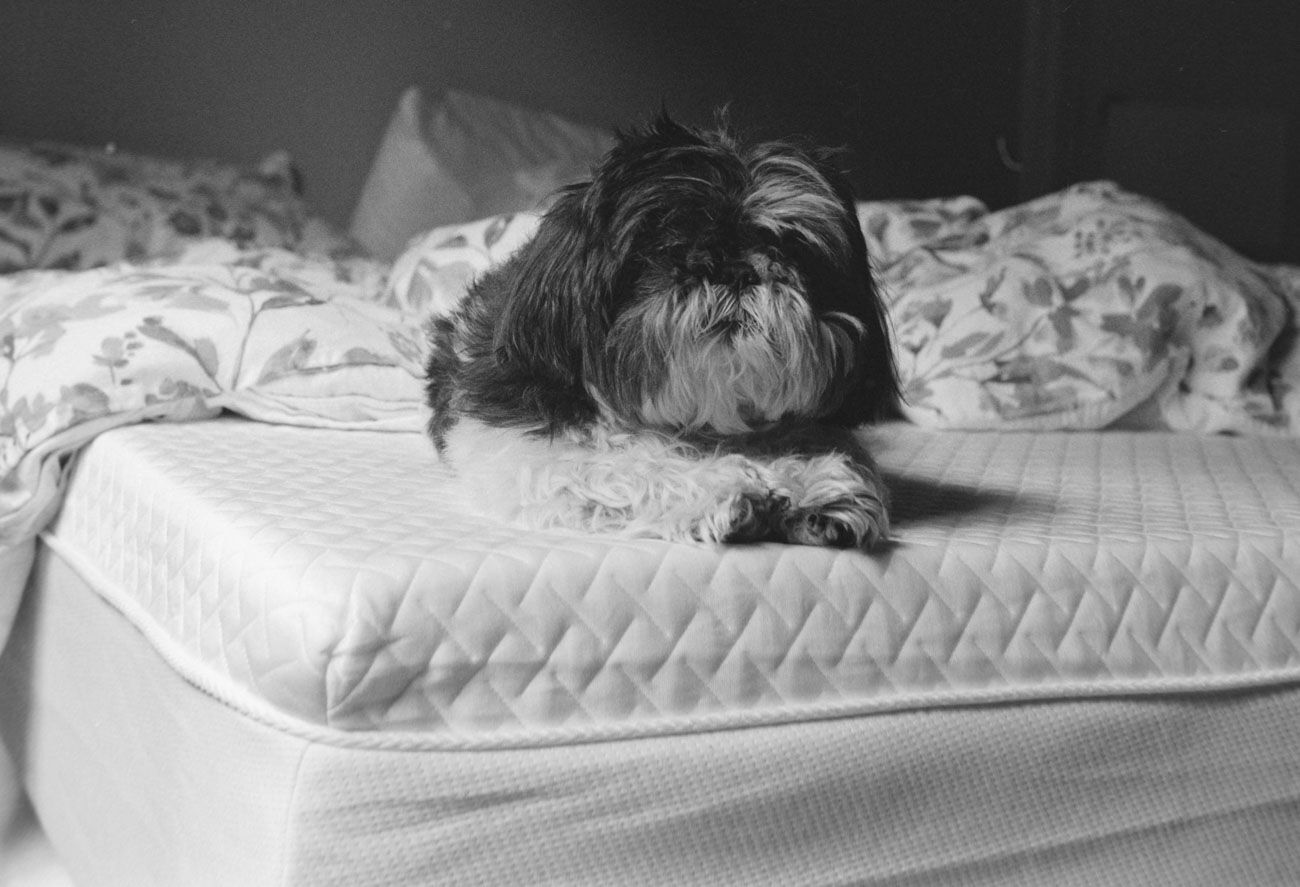 Ilford HP5 Plus 400 Review - Why It's My Favorite B&W Film Stock