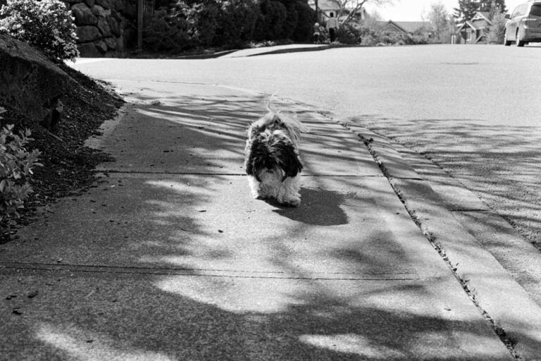 Ilford HP5 Plus 400 Review - Why It's My Favorite B&W Film Stock