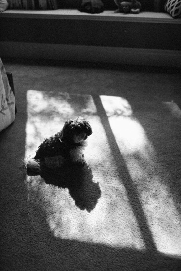 Ilford HP5 Plus 400 Review - Why It's My Favorite B&W Film Stock