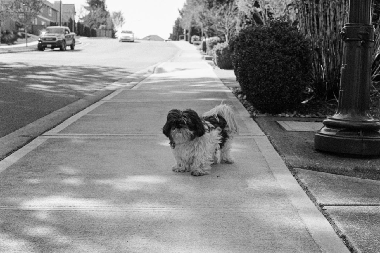 Ilford HP5 Plus 400 Review - Why It's My Favorite B&W Film Stock