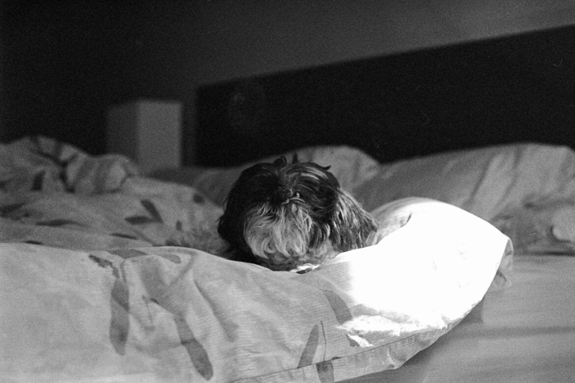 Ilford HP5 Plus 400 Review - Why It's My Favorite B&W Film Stock