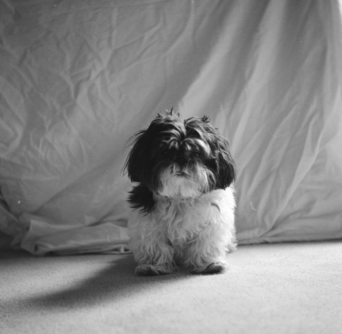 Ilford HP5 Plus 400 Review - Why It's My Favorite B&W Film Stock