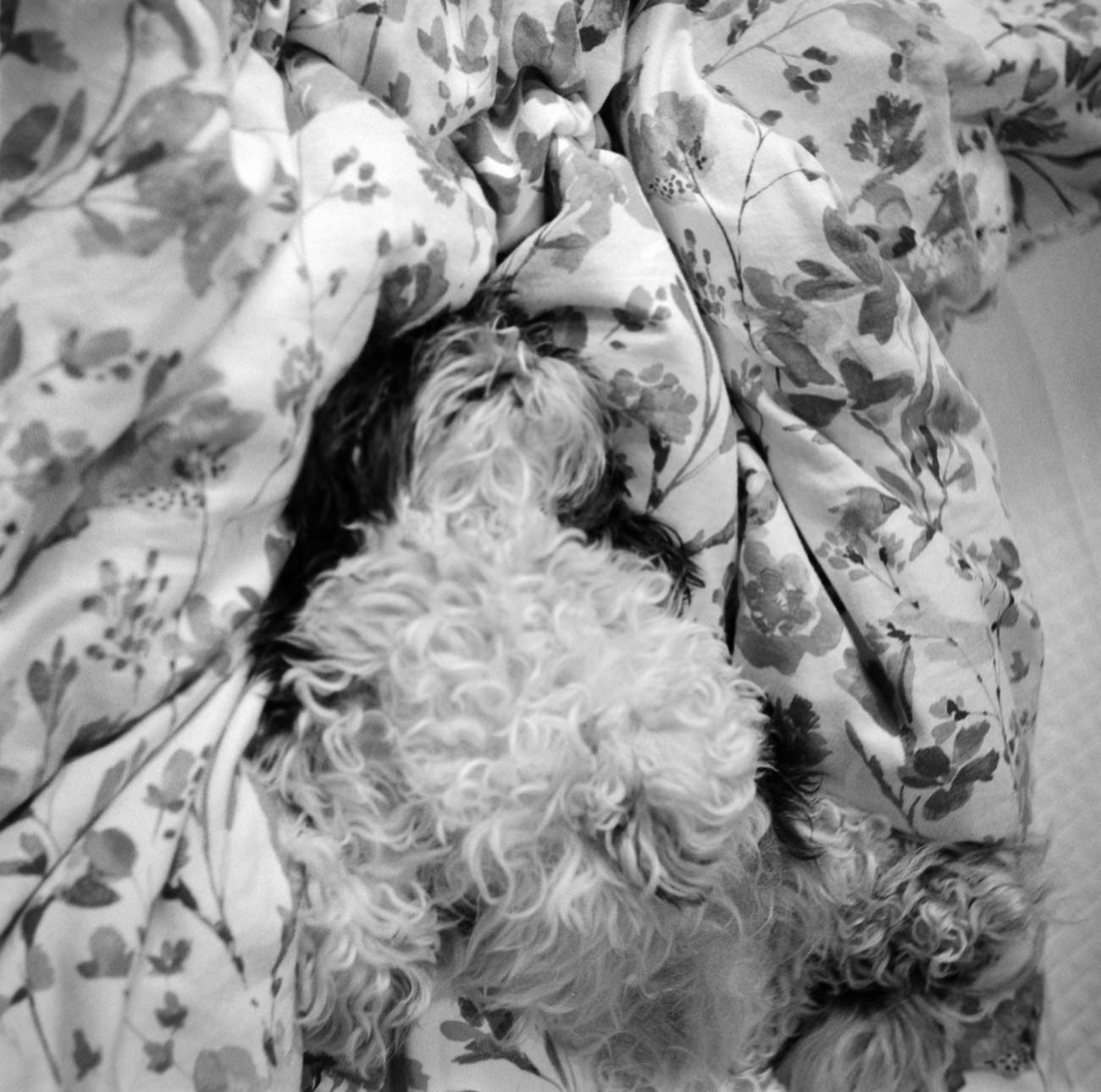 Ilford HP5 Plus 400 Review - Why It's My Favorite B&W Film Stock