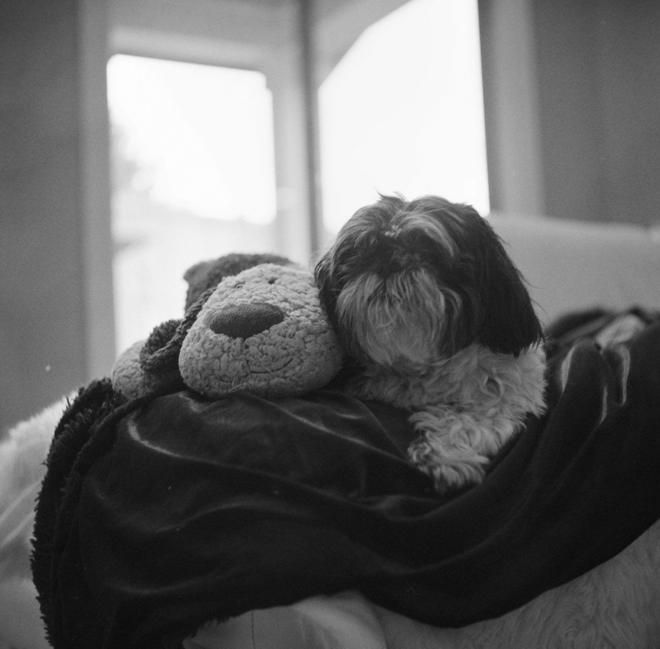 Ilford HP5 Plus 400 Review - Why It's My Favorite B&W Film Stock