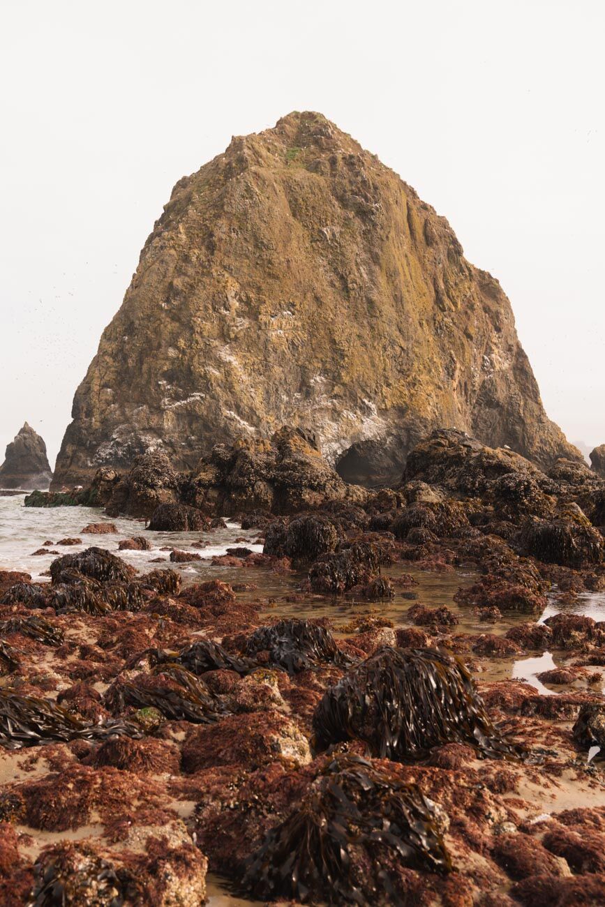 10 Bucket List Worthy Things to Do in Cannon Beach + 1 to Skip
