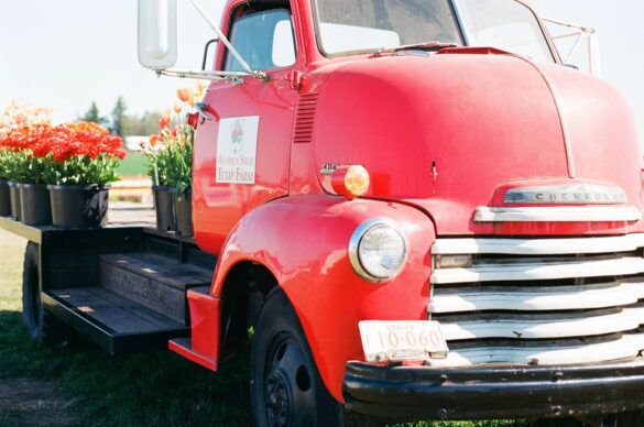 Kodak Ektar 100 Review - Is It Worth It?