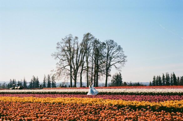 Kodak Ektar 100 Review - Is It Worth It?