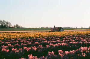 Kodak Ektar 100 Review - Is It Worth It?