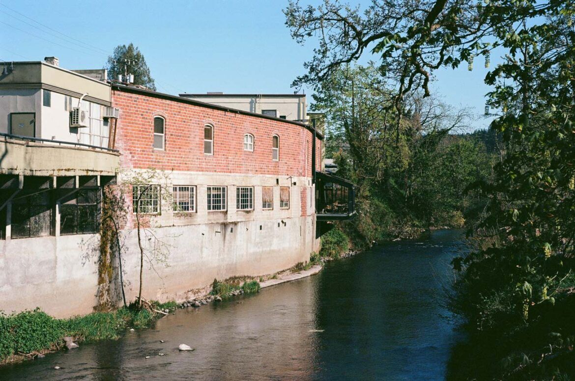 Kodak Ektar 100 Review - Is It Worth It?