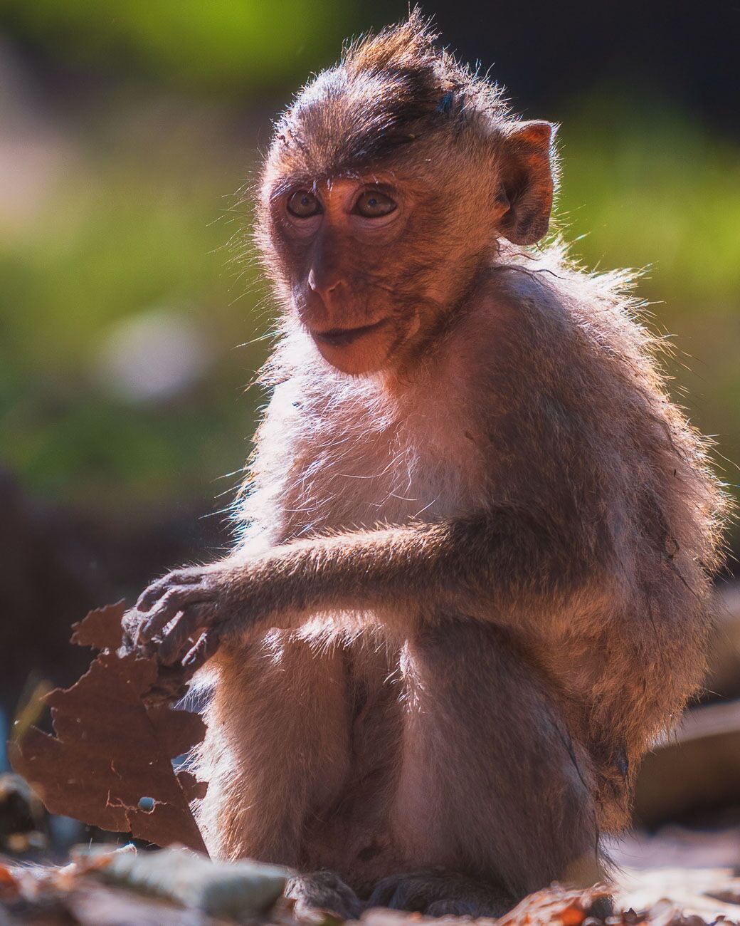 How to Use Selective Focus to Create Powerful Imagery (with Examples)