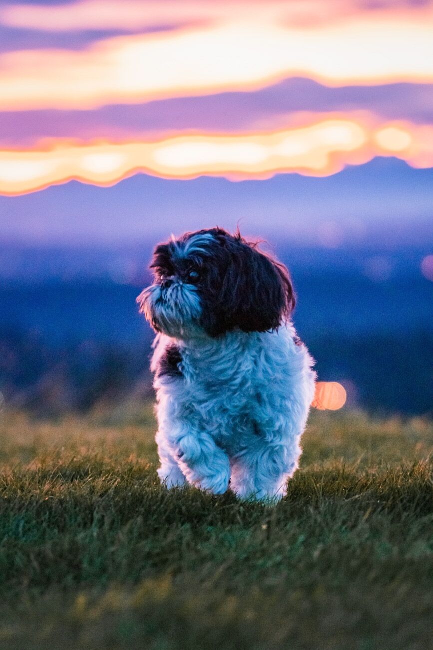 How to Use Selective Focus to Create Powerful Imagery (with Examples)