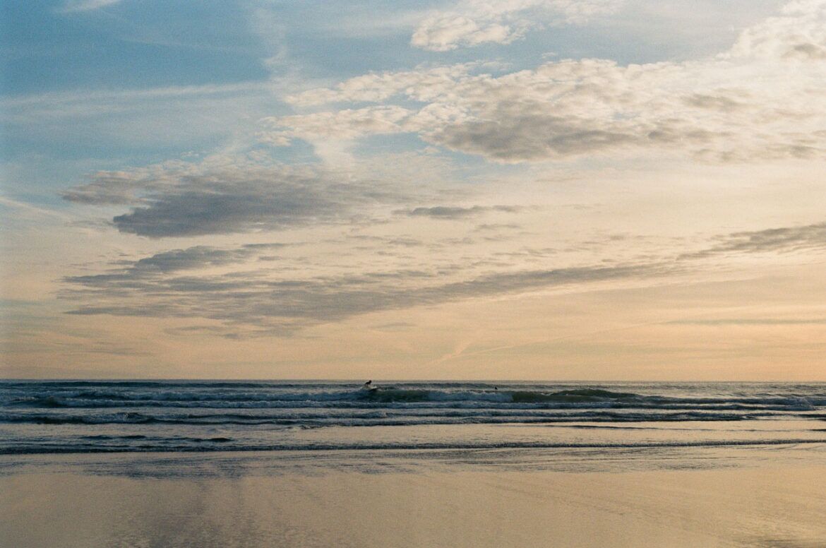 Kodak Ektar 100 Review - Is It Worth It?