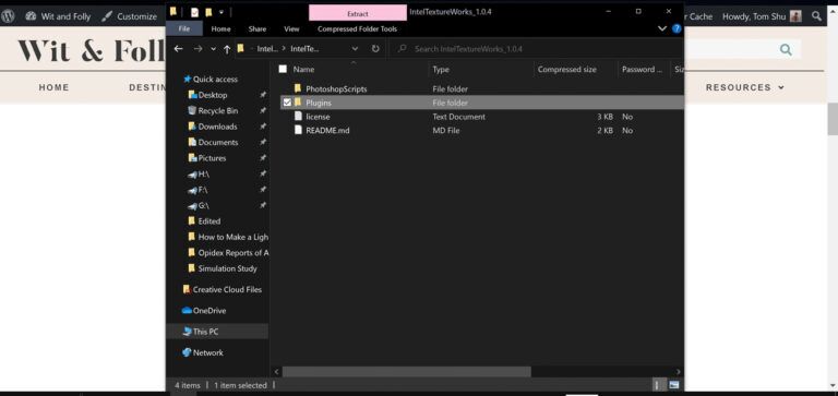 Photoshop DDS Plugin: The Ultimate Guide to Using It