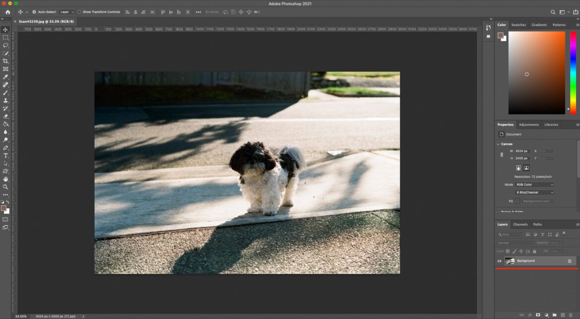 Ultimate Guide: How to Add Image to Existing Layer In Photoshop