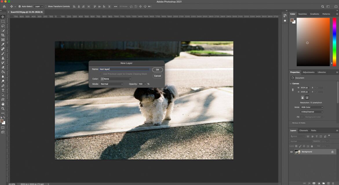 Ultimate Guide: How to Add Image to Existing Layer In Photoshop