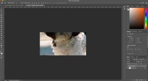 Ultimate Guide: How to Add Image to Existing Layer In Photoshop