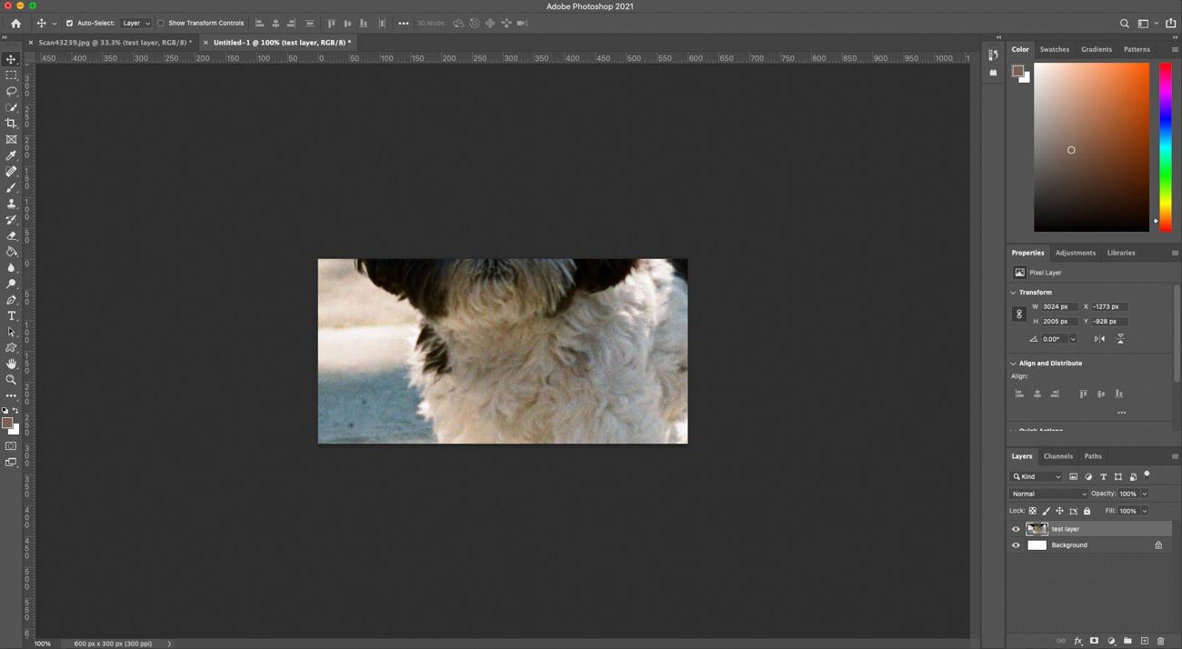 Ultimate Guide: How to Add Image to Existing Layer In Photoshop