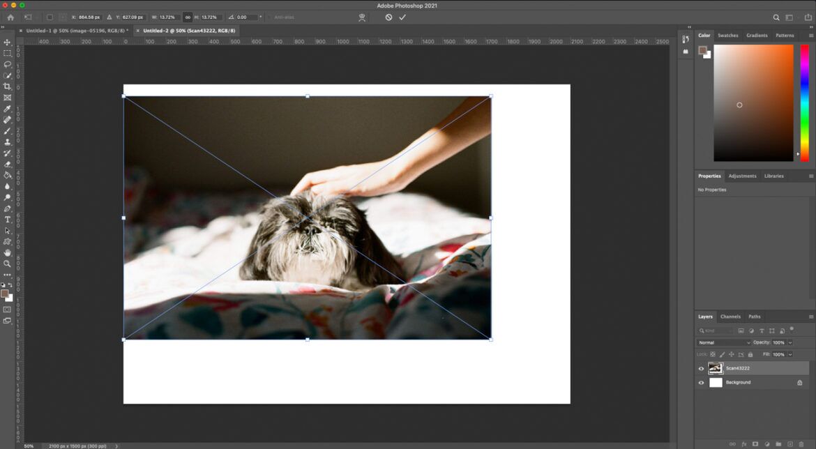 Ultimate Guide: How to Add Image to Existing Layer In Photoshop