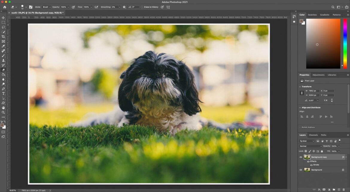 How to Outline an Image in Photoshop