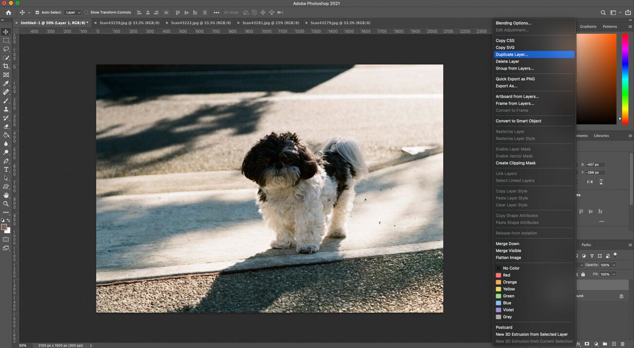 Ultimate Guide: How to Add Image to Existing Layer In Photoshop