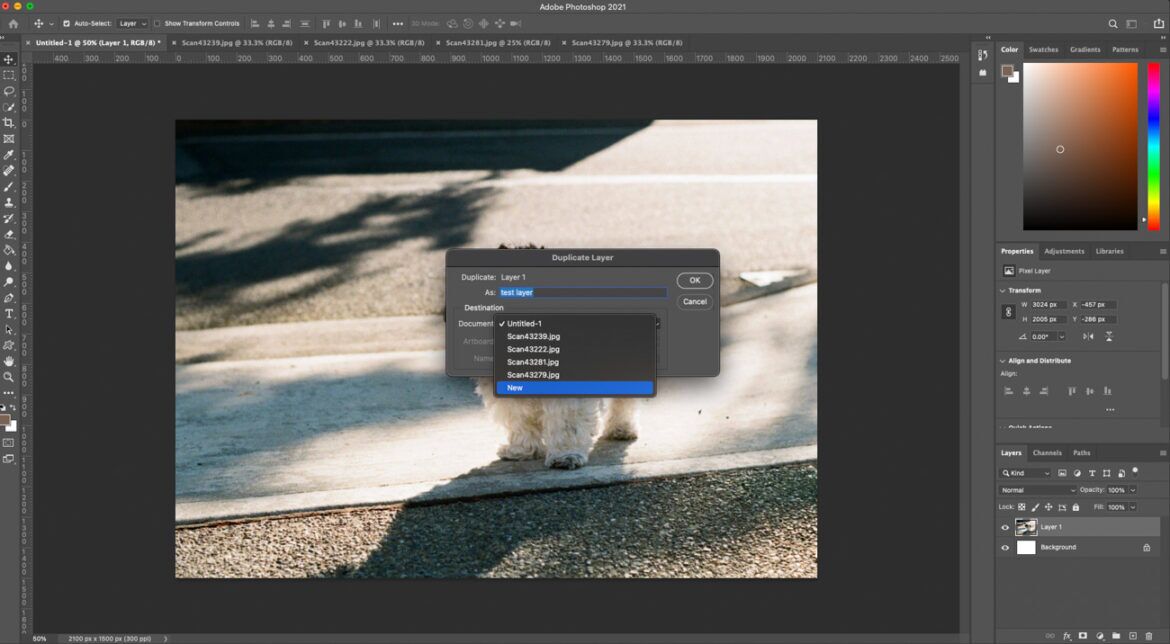 Ultimate Guide: How to Add Image to Existing Layer In Photoshop